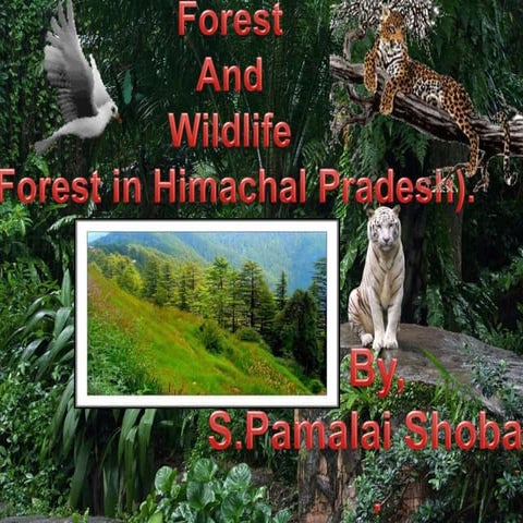 Forest And Wildlife | PPT