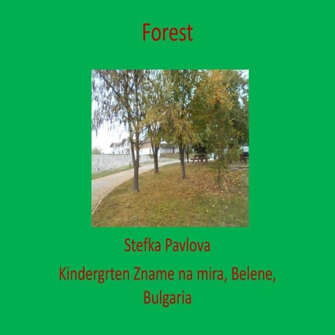 Forest | PPT