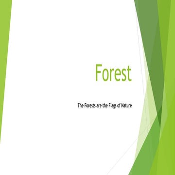 Forest.pdf
