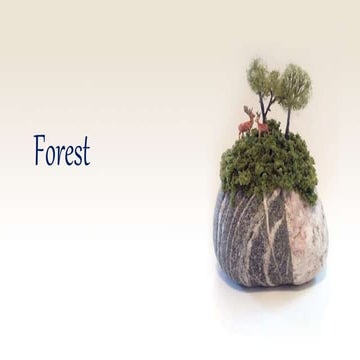 Forest and it's significance, about forest type, ingredients of forest ...