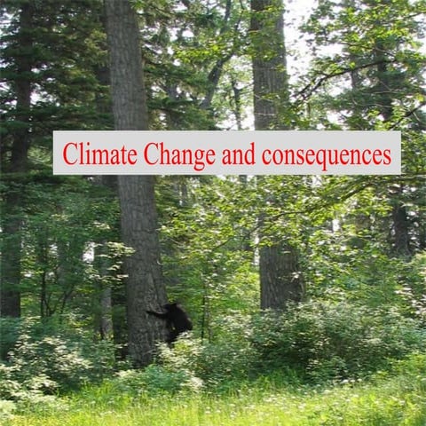 FOREST -CLIMATE CHANGE AND CONSEQUENCES-1.pdf
