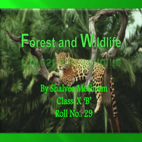 Biodiversity, Forests and Wildlife Conservation | PPT