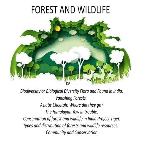 Forest and wildlife | PPT