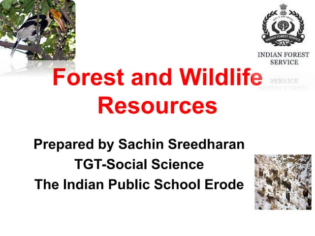 Biodiversity Hotspots in India | PDF