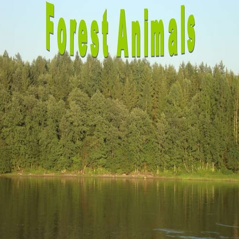 Forest Animals | PPT
