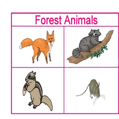 Forest animals | PPT