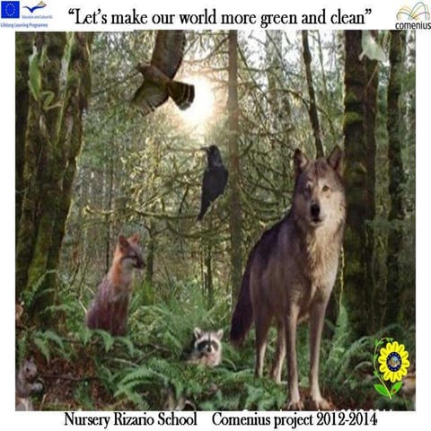 Forest animals! | PPT