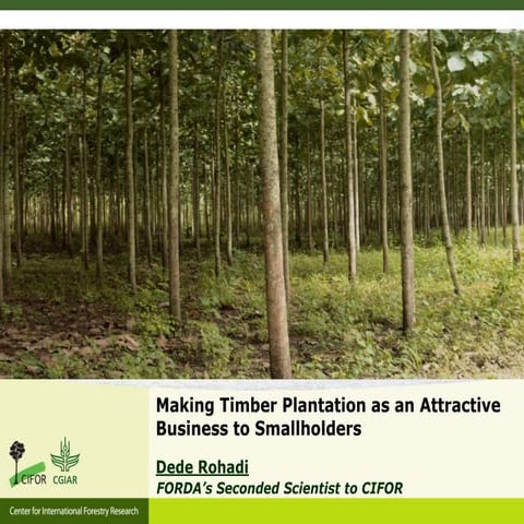 Making Timber Plantation an Attractive Business to Smallholders | PPTX