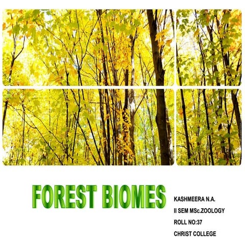 Forest biomes - Kashmeera | PPT