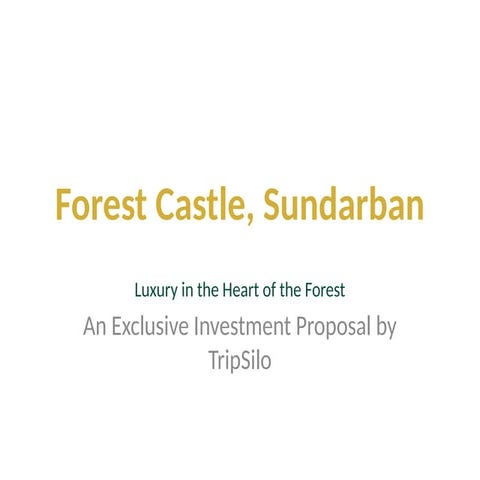 Forest_Castle_Investment_Proposal_with_Charts.pptx