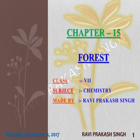 Forest class 7 | PDF