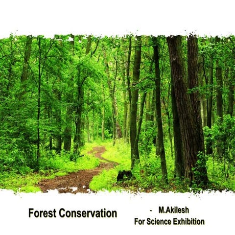 Forest conservation methods | PPT