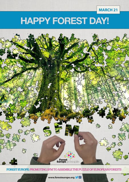 International Day of Forests: Key Forest Facts | PPTX | Geography | Science