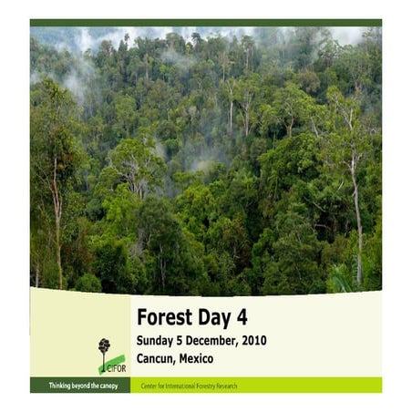 Forest Day 4 key messages | PPT