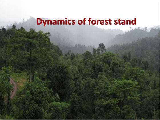 Teaching Forest Stand Dynamics | PPT