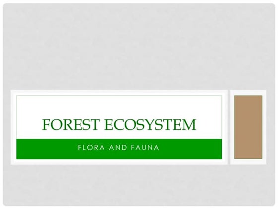 Forest ecosystem | PPTX