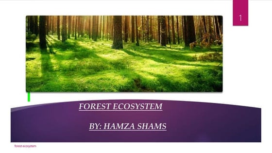 Forest Ecosystem | PPTX | Environment | Science