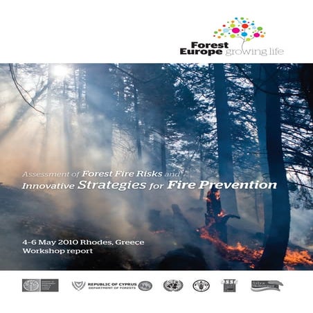 The Geneva Association: World Fire Statistics | PDF