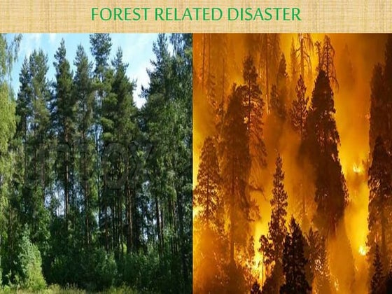 Forest fire a natural disaster | PPTX | Environmental Services Industry ...