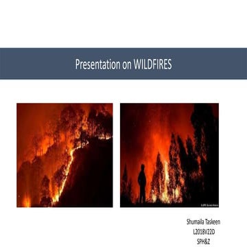 Forestfire | PPT