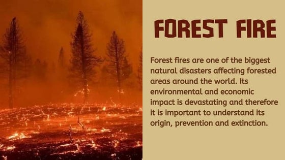 Forest fire a natural disaster | PPTX | Environmental Services Industry ...