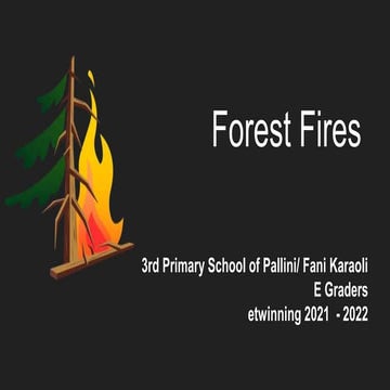 Forest Fires.pptx