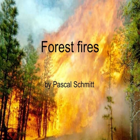Forest fires by pascal | PPT
