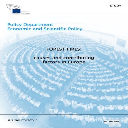Forest fires report | PDF