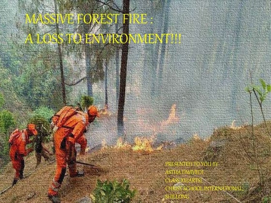 Forest fire a natural disaster | PPTX | Environmental Services Industry ...