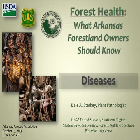 Forest diseases and disorders | PPTX