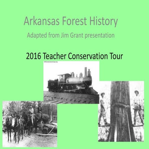 Arkansas Forest History | PPT