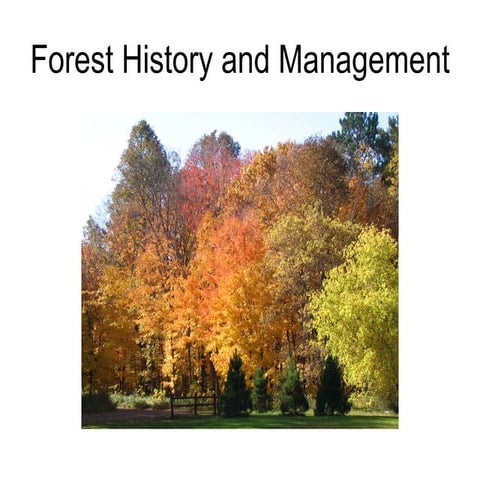 Forest history and management | PPT