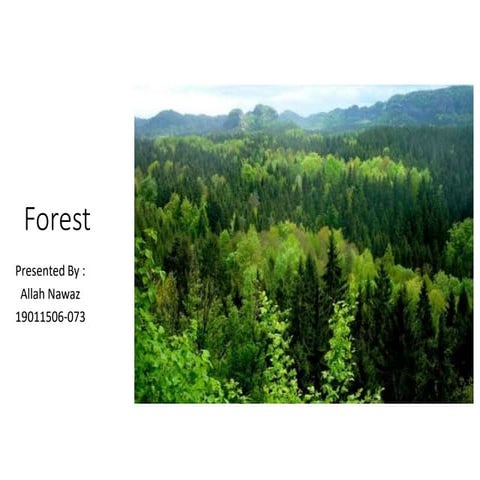 forest in pakistan.pptx