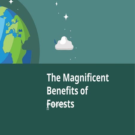 Forest Knowledge Boxes (PART 3, pptx).pptx