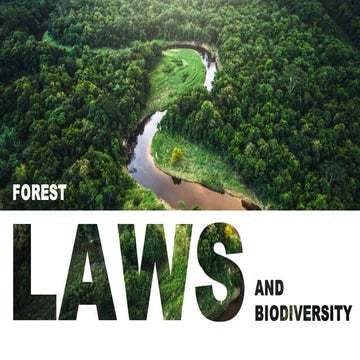 PPT on The Forest Laws and Sustainability | PPTX