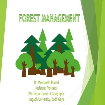 Forest management | PDF