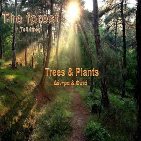 Greek Forest plants | PPTX