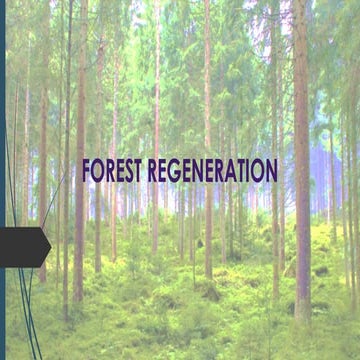 Forest Regeneration by various methods and phases.pptx
