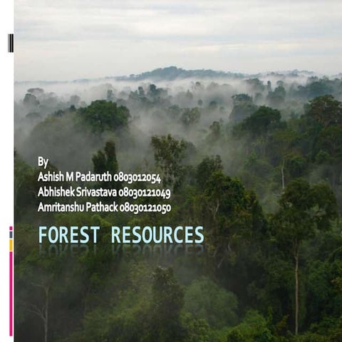 Forest Resources | PPT