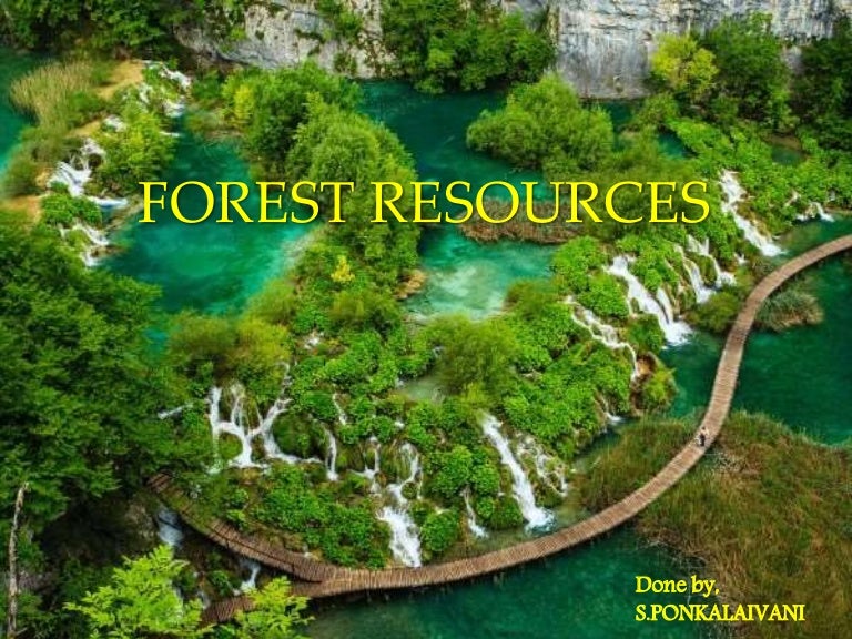 Forest resources
