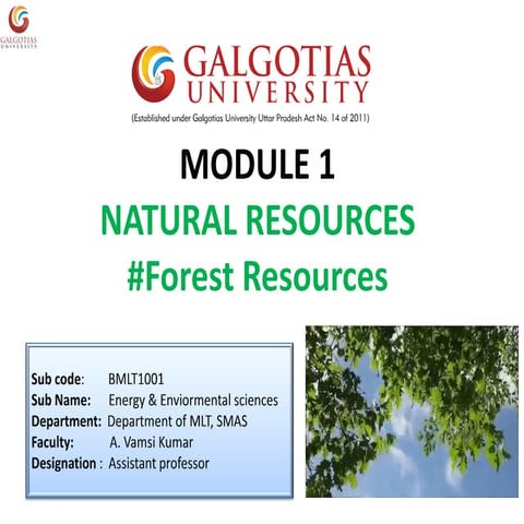 Forest Resources Pdf