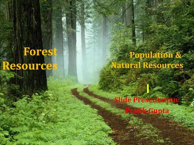 Role of Forest and trees on Environment | PPT