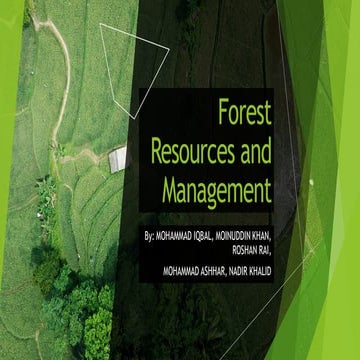 Forest Resources and Management | PDF
