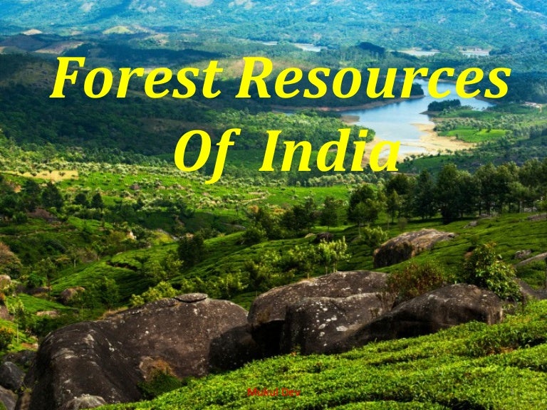 Forest resources of india