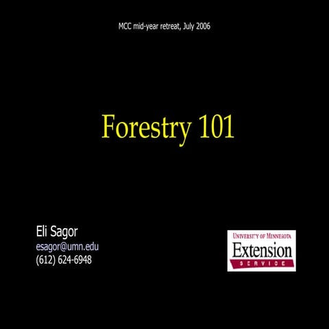 Minnesota Forestry 101 | PPT