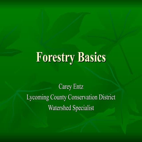 Forestry-Basics.ppt presentation of forest | PPT