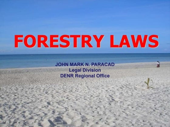7. PD 705 & RELEVANT FORESTRY LAWS PHILIPPINES | PPT