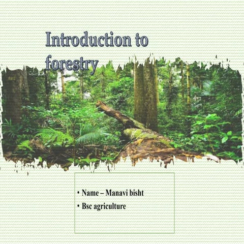 introduction to Forestry | PPT | Free Download