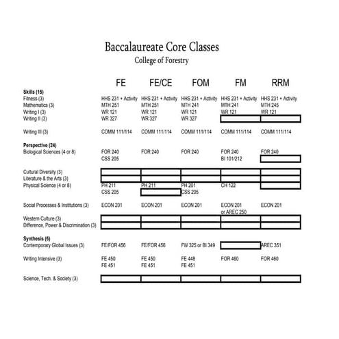 PLM ECE SY 09 10 course curriculum | PDF