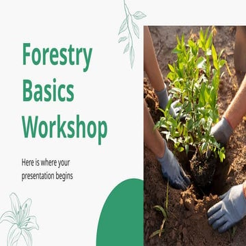 Forestry Basics Workshop by Slidesgo.pptx